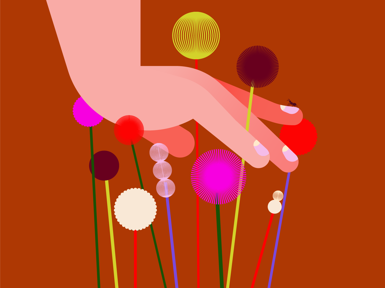 Bloom by Alessia Margarita on Dribbble