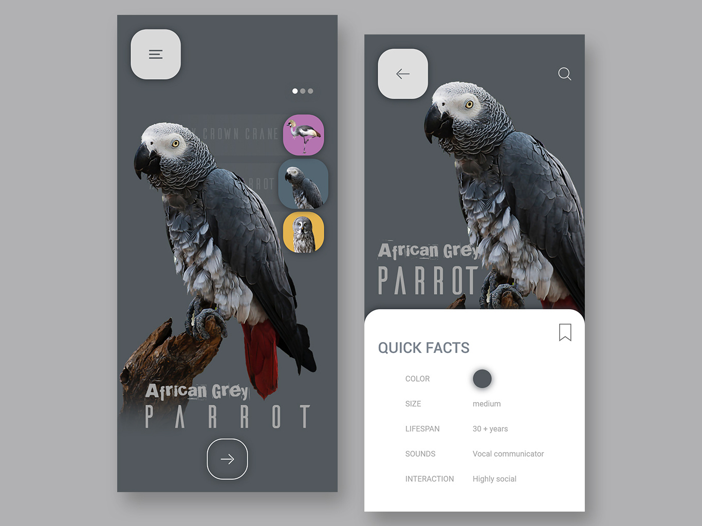 Dribbble - bird.jpg by Prabu B
