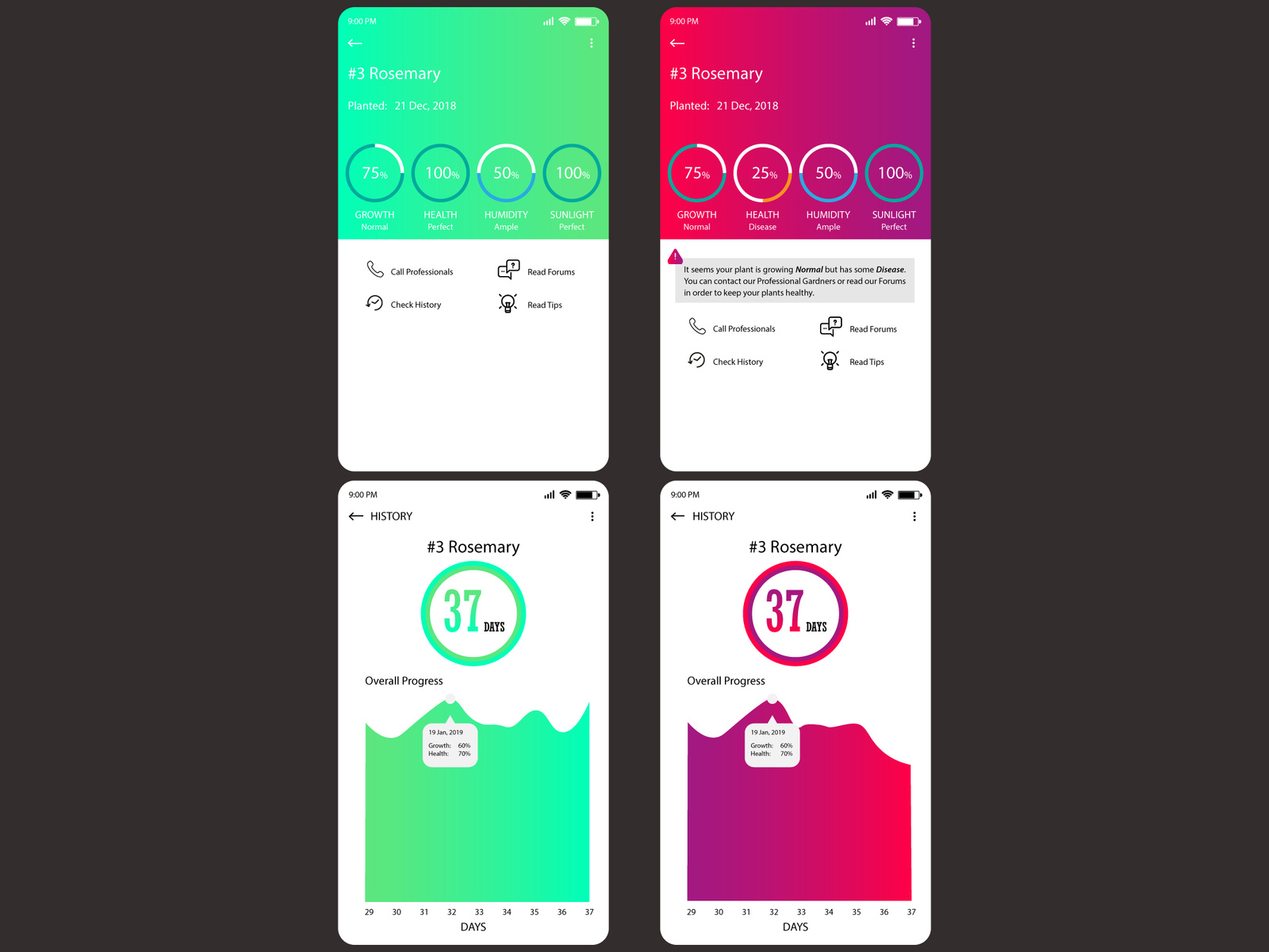 Plant UI - Concept Design by Muhammad Idrees on Dribbble