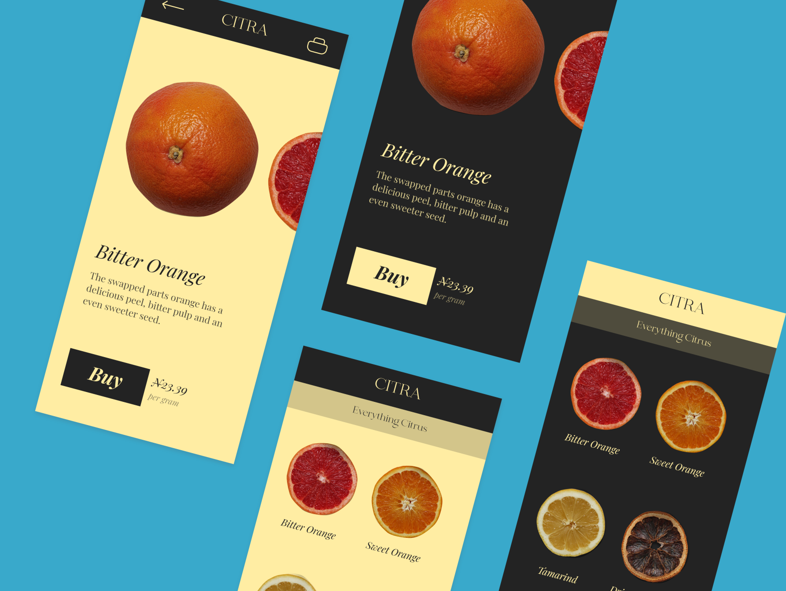 Citra UI by Stephen Demo on Dribbble