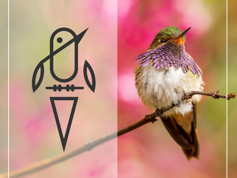 Bird Line logo by Rakha Aziiz on Dribbble