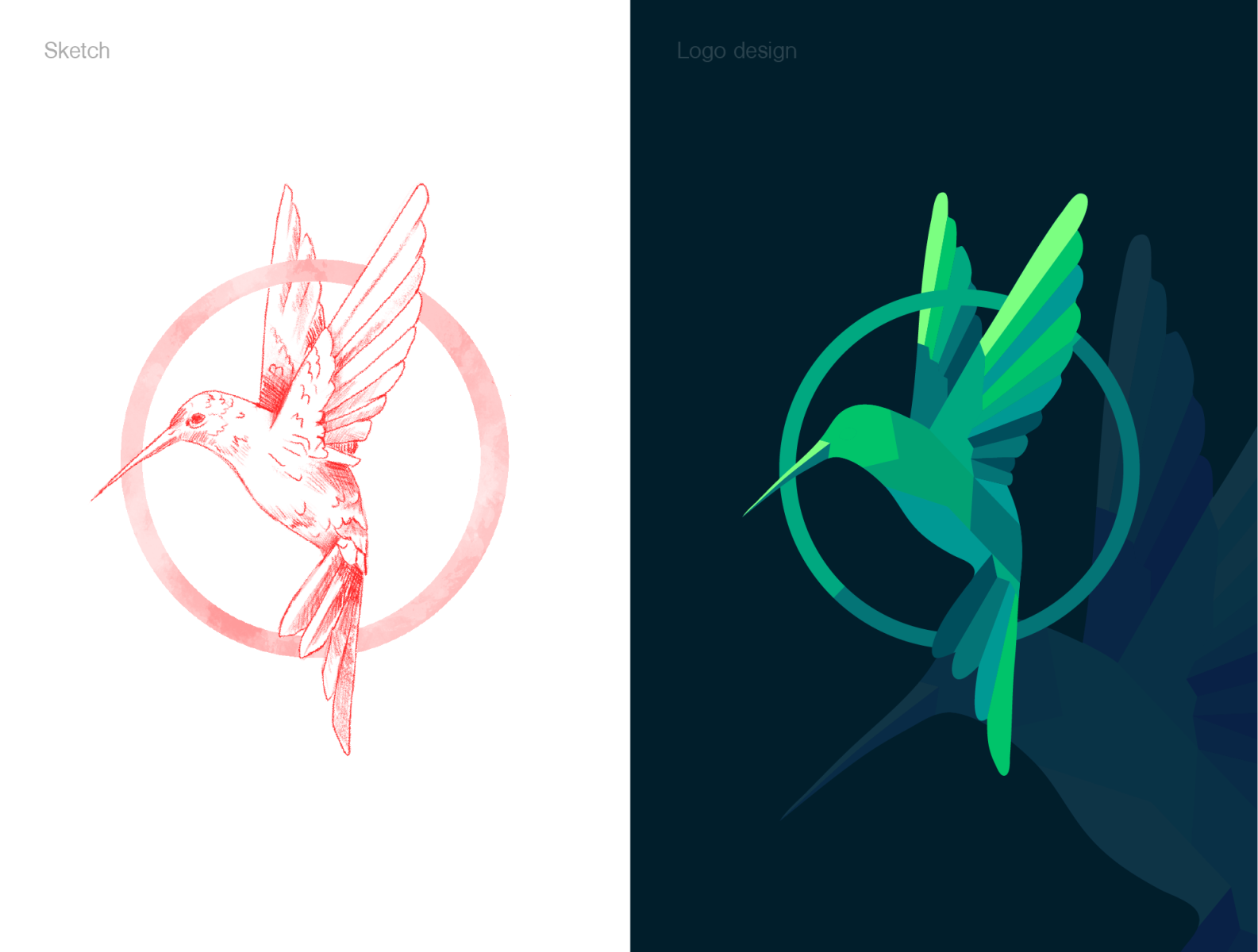 Colibri logo by Alua Designer on Dribbble