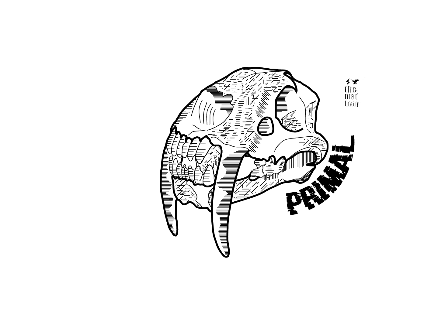 Sabre Caveira by Henry Rodrigues on Dribbble