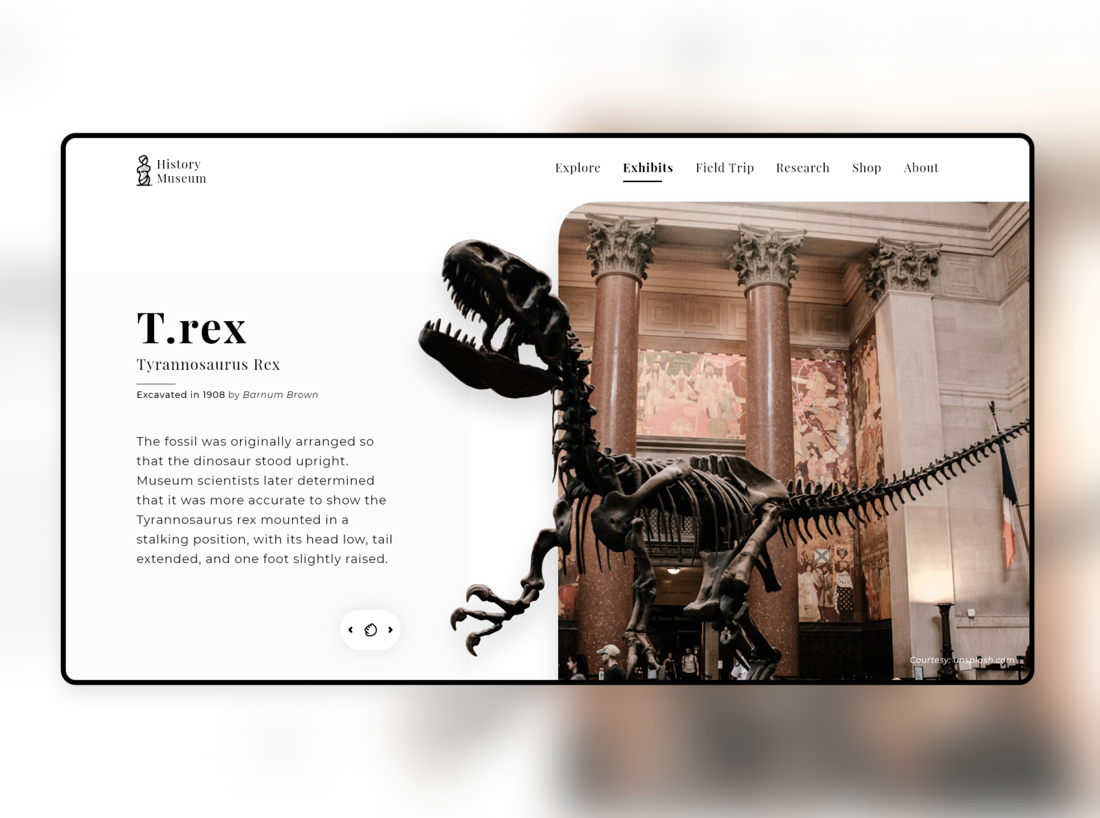 History Museum Exhibit Design Concept by Ken Rodrigues on Dribbble