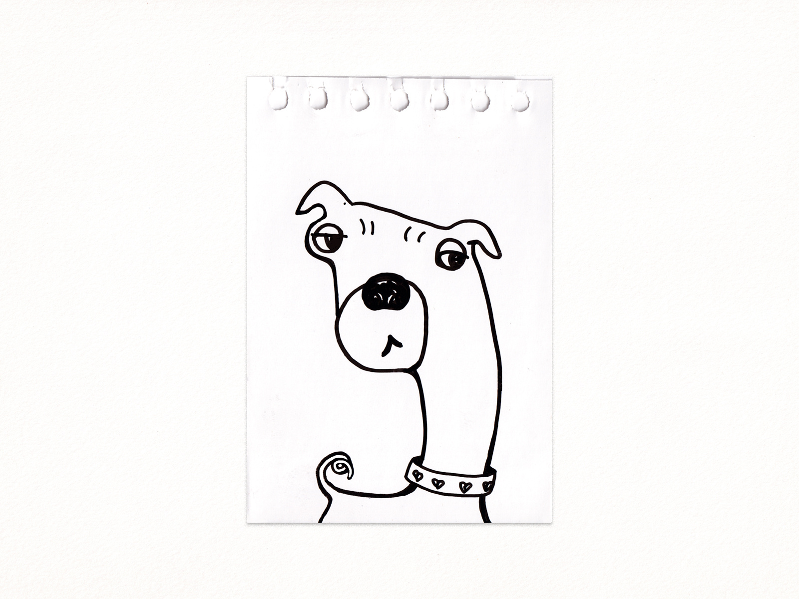Suspecting-dog by Kateryna Naumova on Dribbble