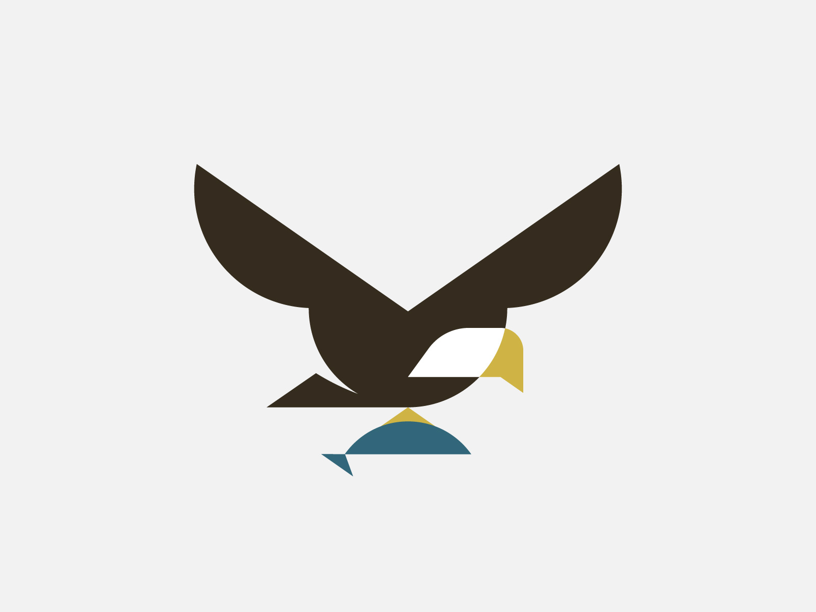 Eagle by Jason Craig on Dribbble