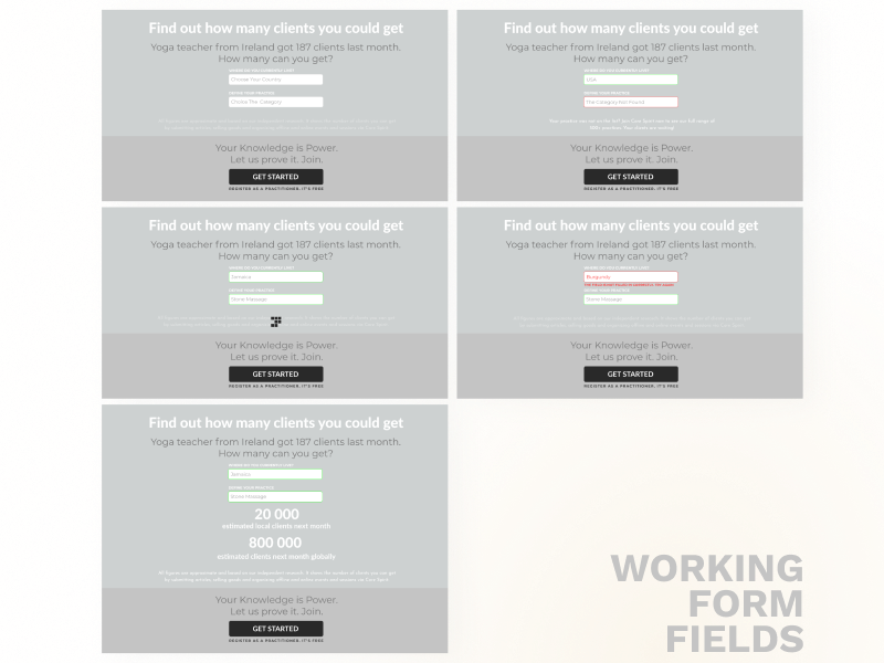 Working Form Fields by Vik Kulaev on Dribbble