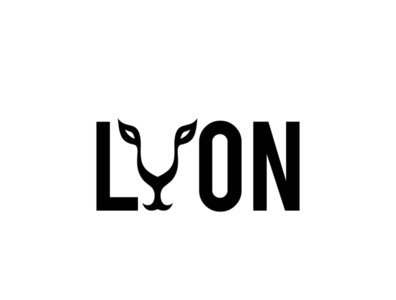 Lyon by WiseDesigner on Dribbble
