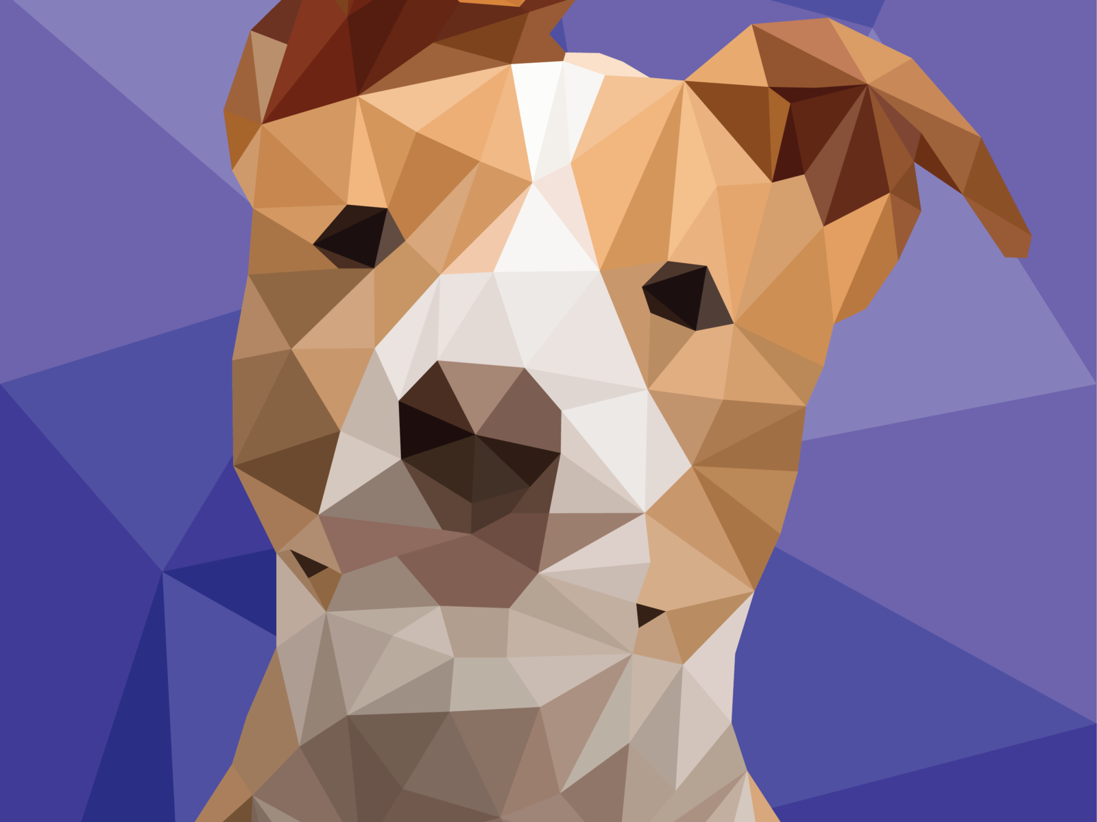Low Poly Dog by Rana Pratap Singh on Dribbble