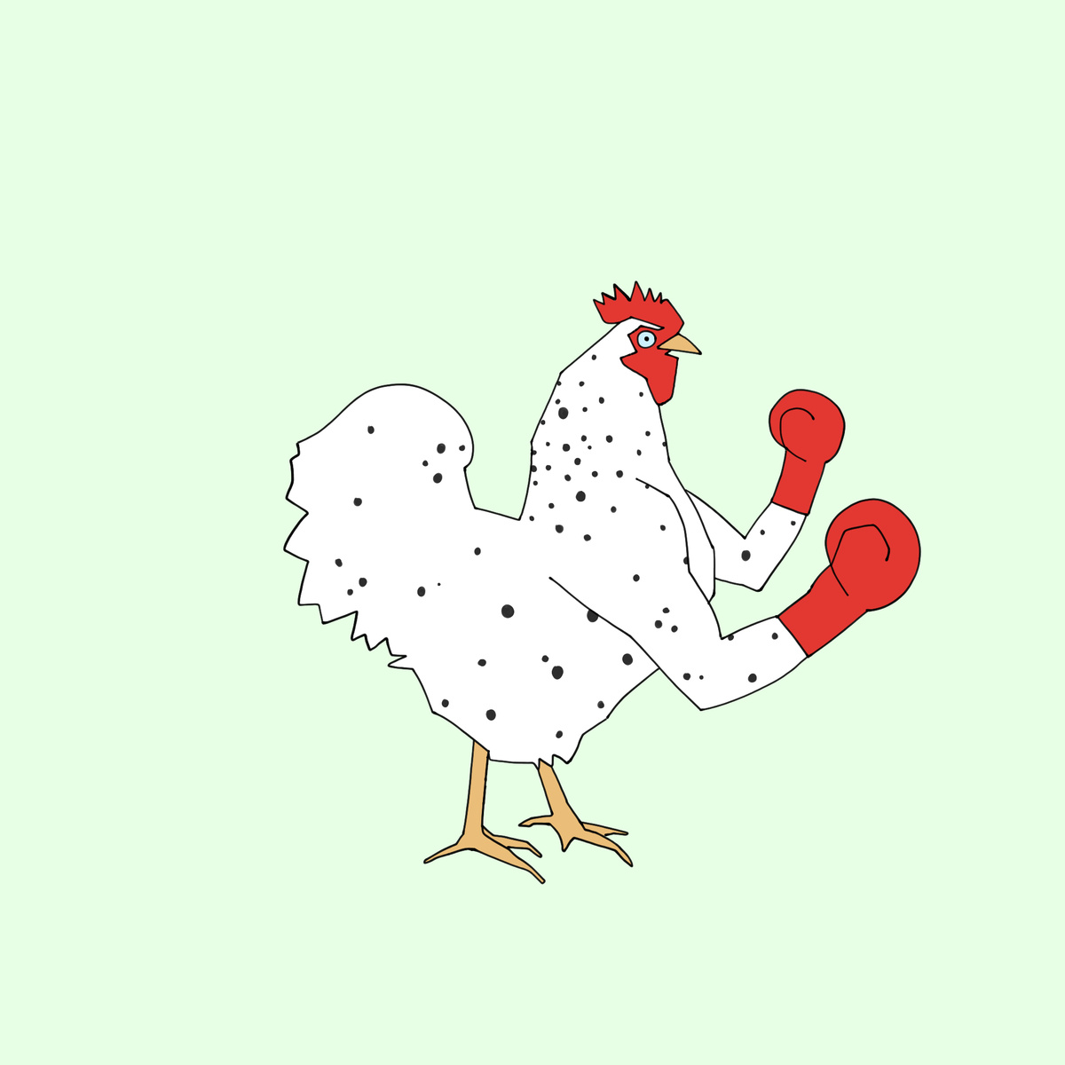 Chicken boxing by Ján Levák on Dribbble