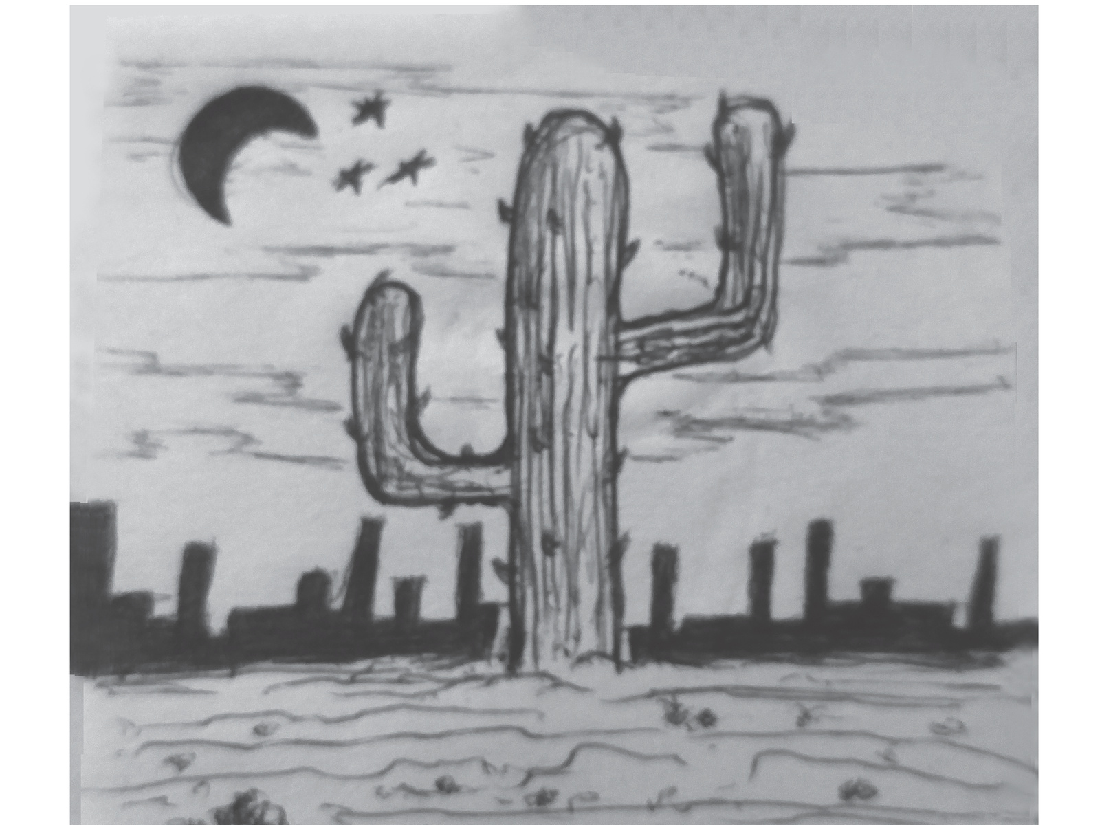 Southwest Sketch 01 by CMMD on Dribbble