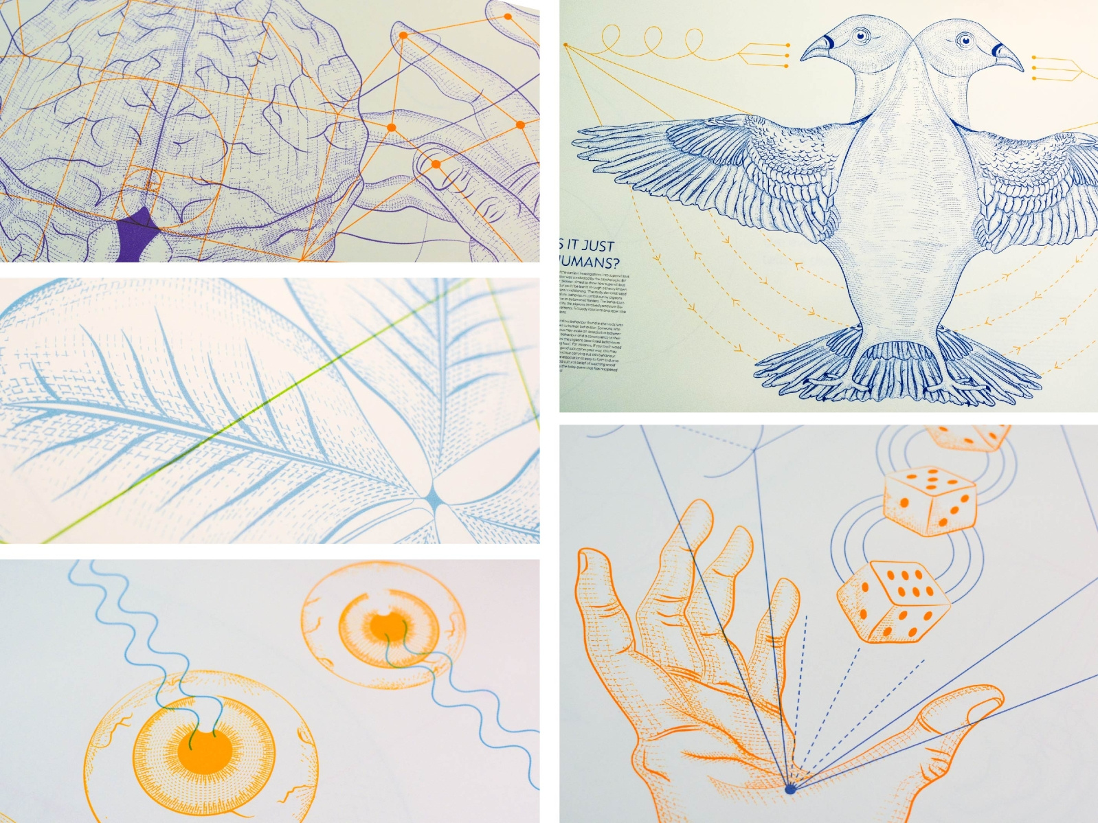 The Science of Superstition - Exhibition Design by Yolande Rapela on ...