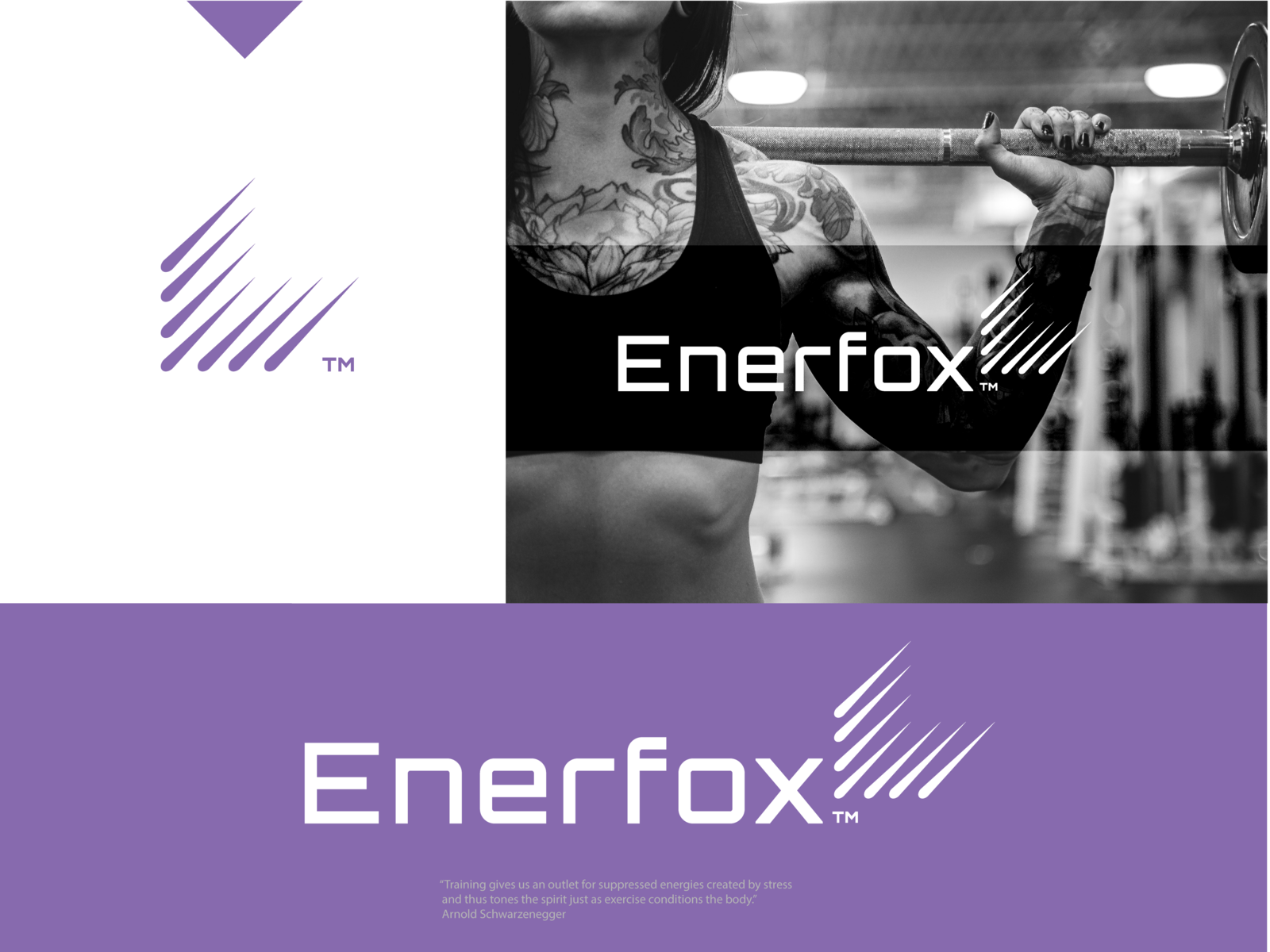 Enerfox by Davor Butorac on Dribbble