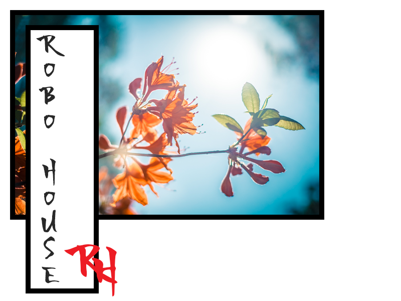 Robo House by Kevin Wynn on Dribbble