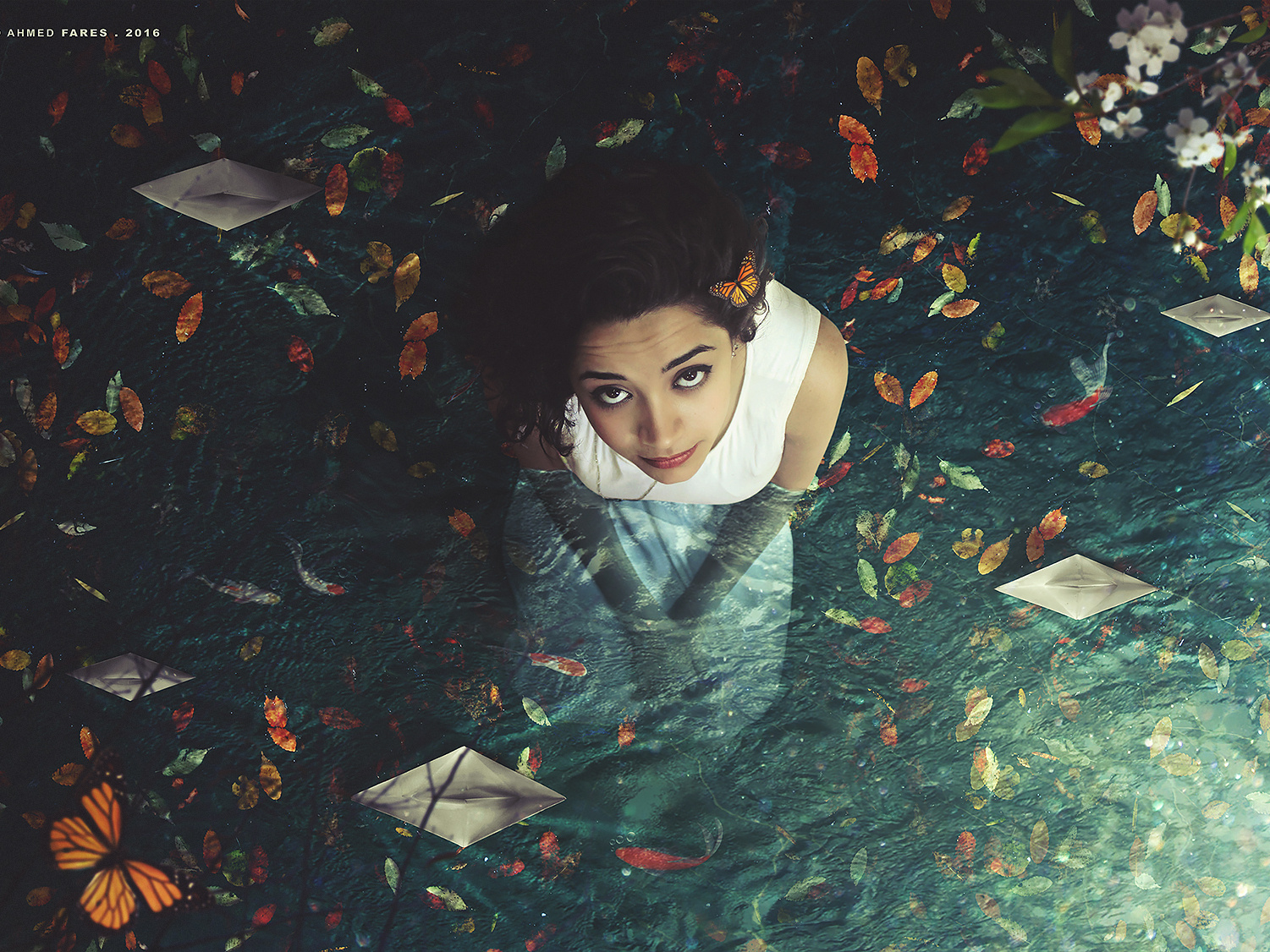 Aya by ahmed fares on Dribbble