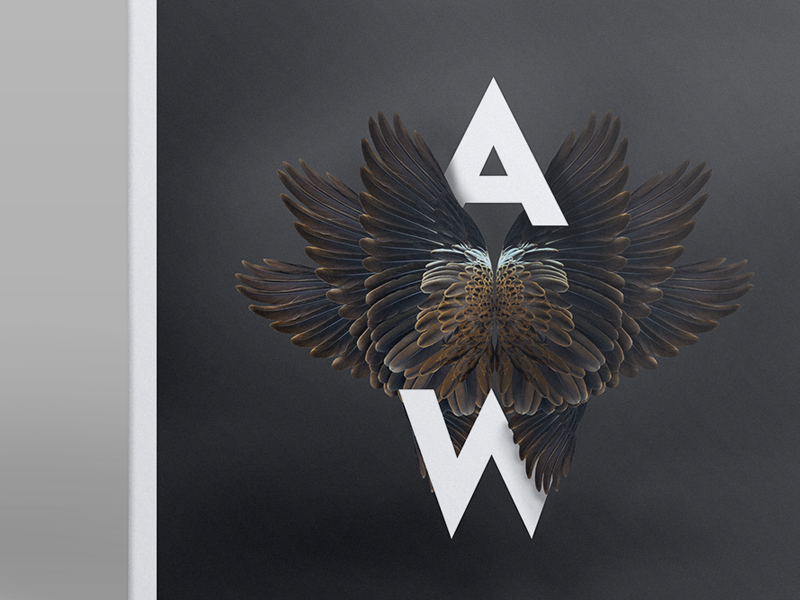 Wings Early Draft by Yuri Winkelman on Dribbble