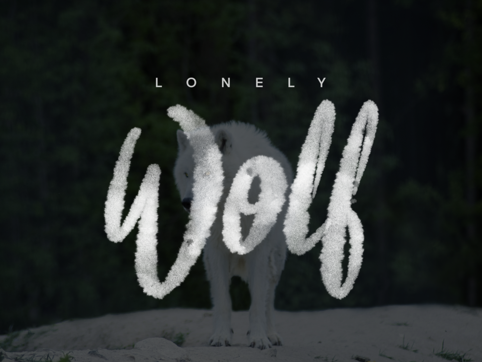Lonely Wolf. Random Lettering. by Fariz Ardiansyah on Dribbble