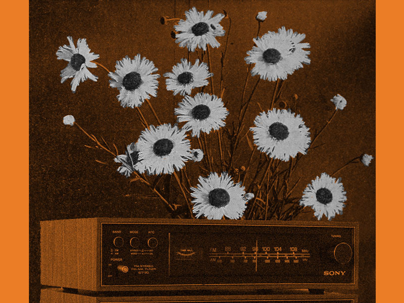 the sound of flowers by Drake Cartrette on Dribbble