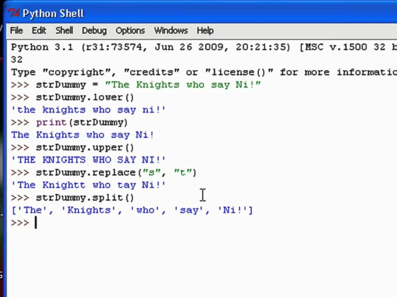 Python String by ross bing on Dribbble