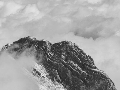 Michelle Bobst | Dribbble