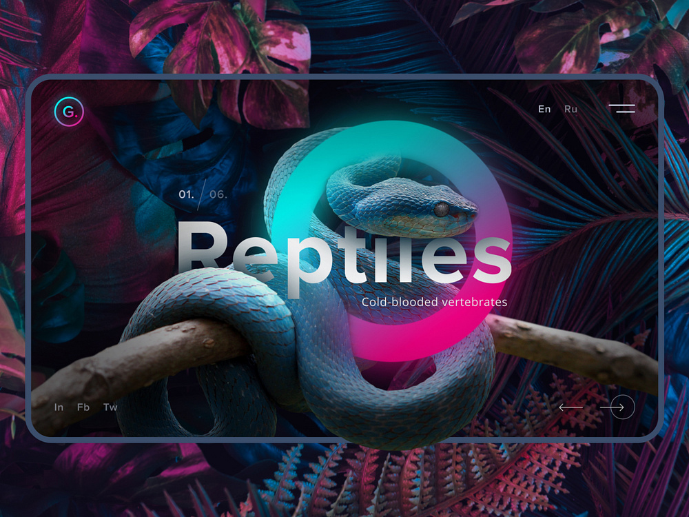Reptiles Web Design by Natalie Strunevskaya on Dribbble