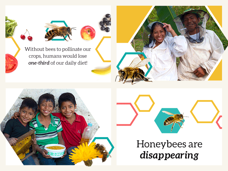 Heifer International: UnBEElievable Emails by Blue State on Dribbble