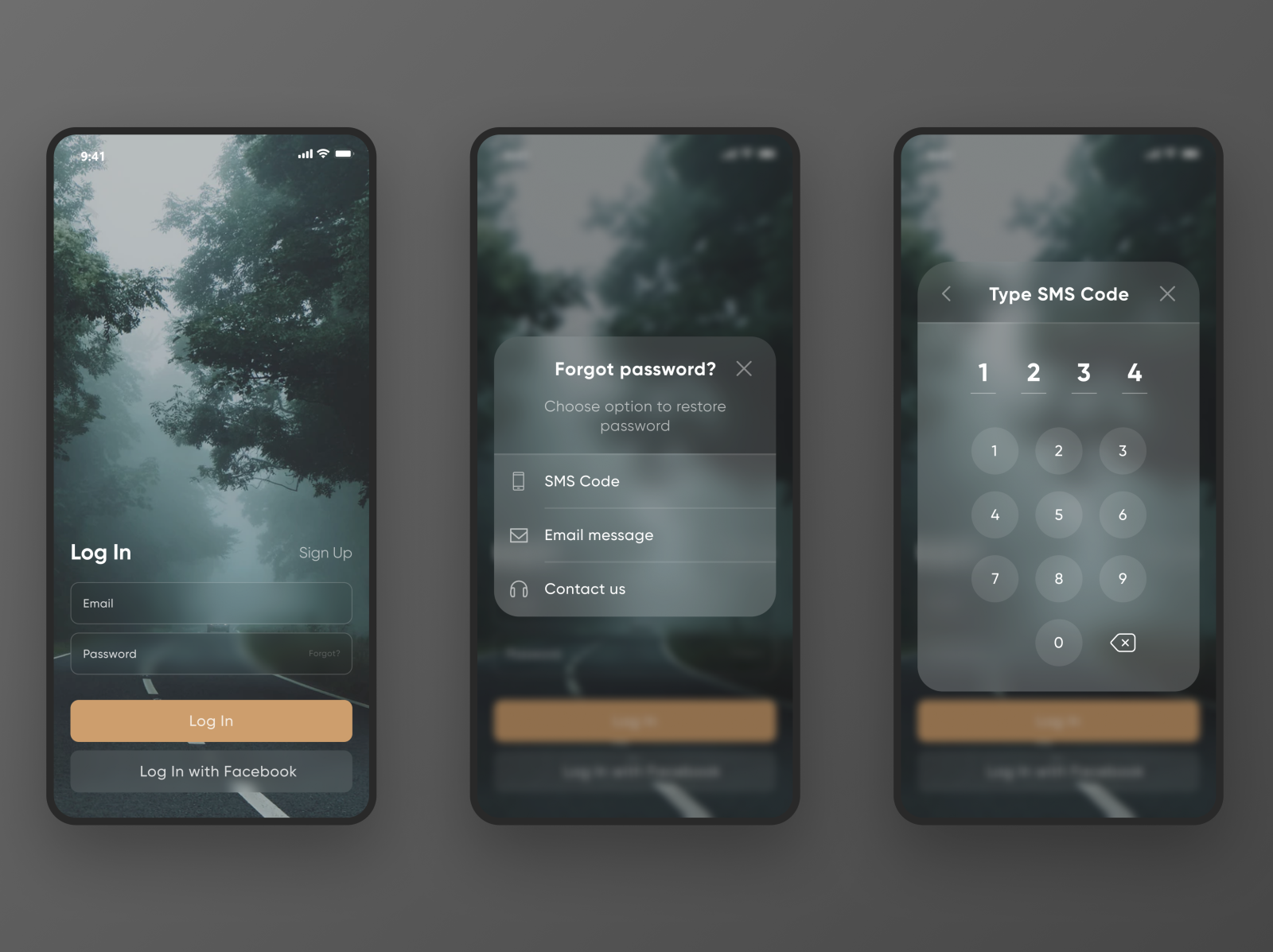 Password recovery with SMS Code UI by Maxim on Dribbble