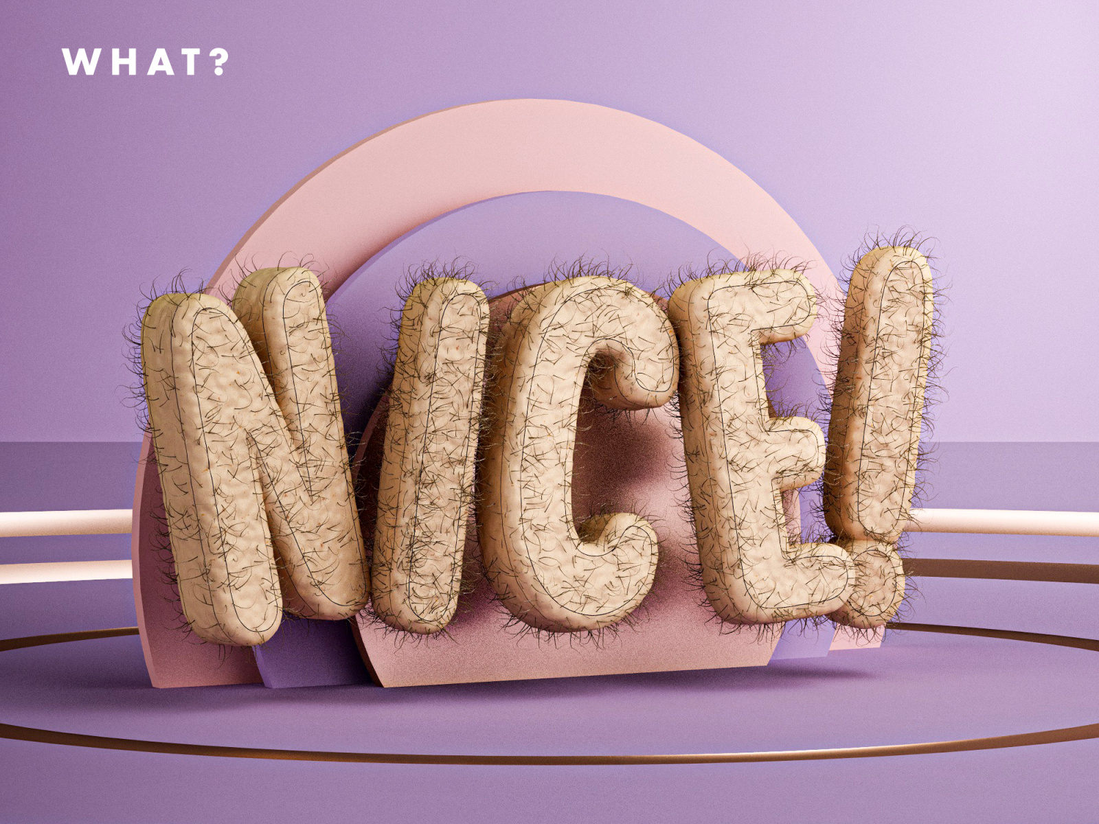 What? by Tobi | Nice Nice Studio on Dribbble