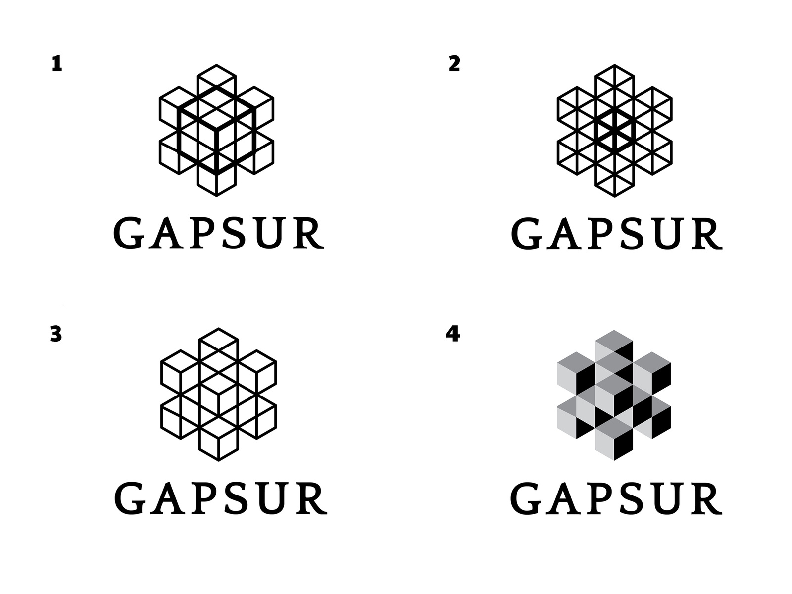 Geometrical fractal based logo concepts by Victoria Georgieva on Dribbble