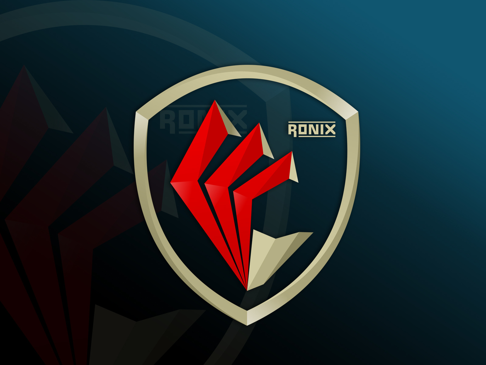 Ronix by kimzigr on Dribbble