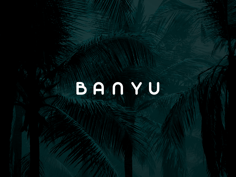 BANYU Brand by Alejandro Velasco Izquierdo on Dribbble