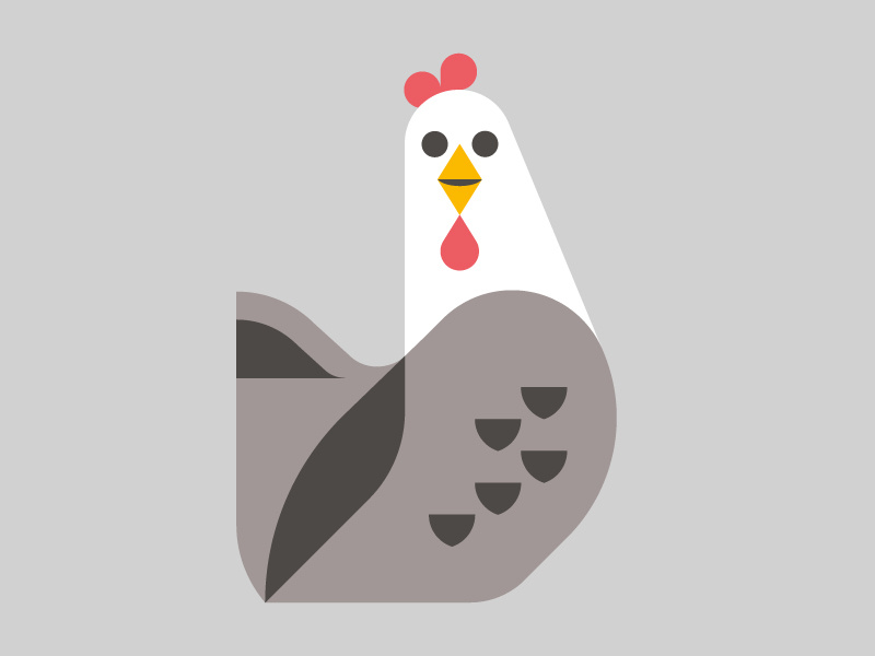 Chicken by Timo Meyer on Dribbble