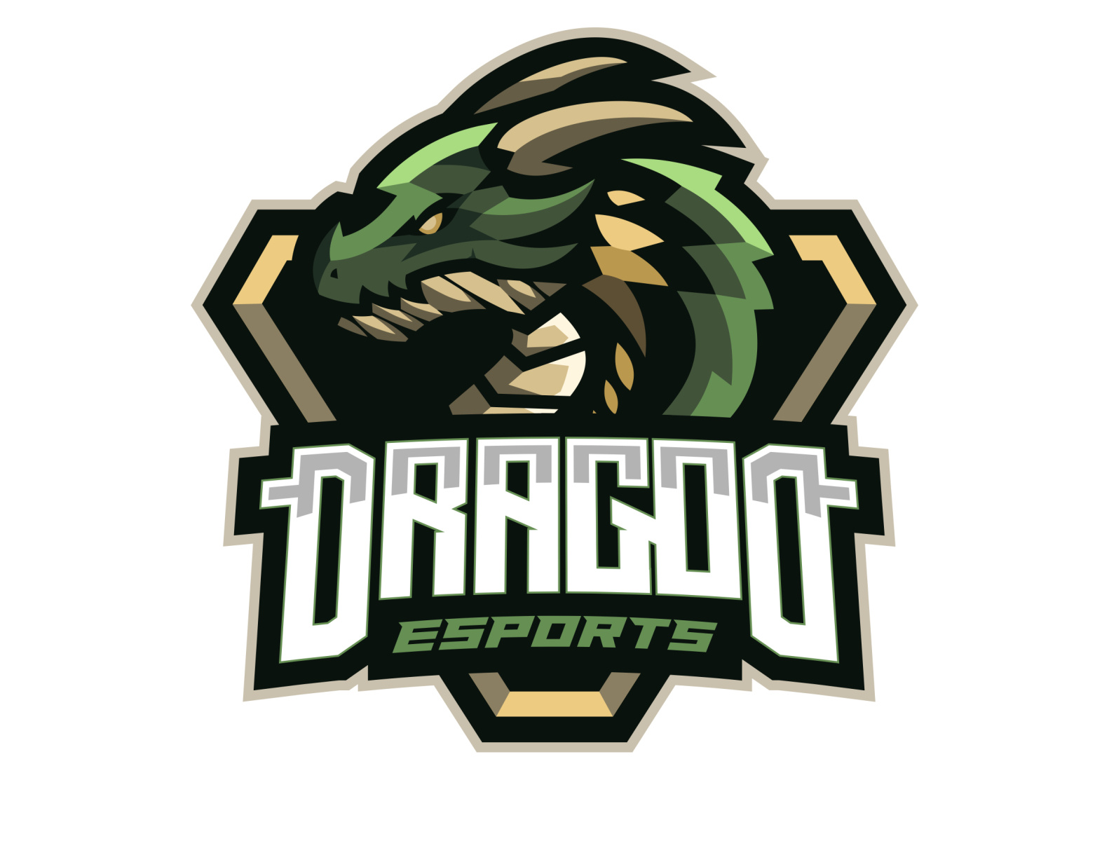 DRAGON ESPORTS | Bold & Minimalist Logo by Redicul.dsgn on Dribbble