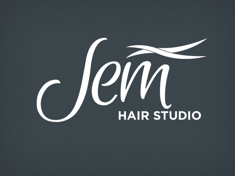 Jems Logo