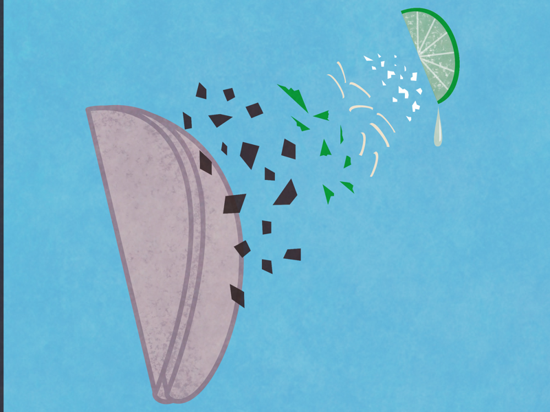 The Street Taco by Fariss Ryan on Dribbble