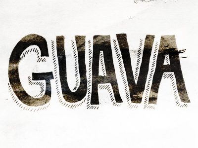 Guava by Wendy Lee Oldfield on Dribbble