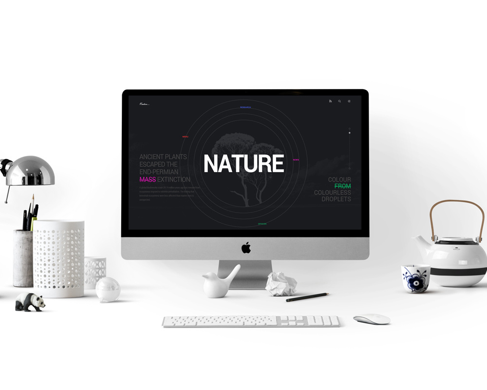 Website Design by Pinki Ghosh Dastidar on Dribbble