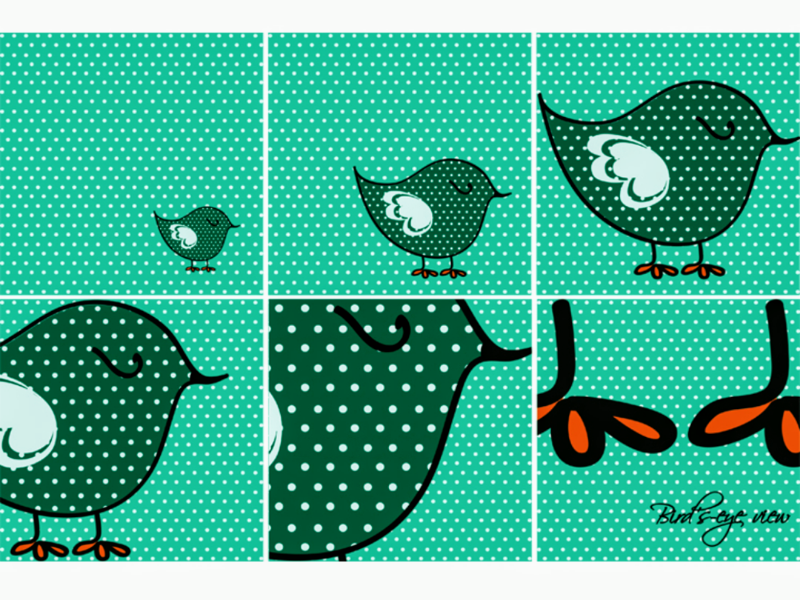 Birds eye view by LydiaWoo on Dribbble