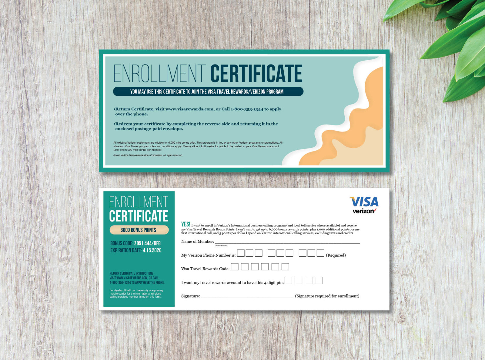 Enrollment Certificate by Corrine Whalen on Dribbble