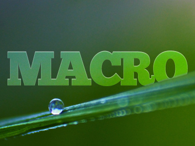 Macro Logo by Daniele Delgrosso on Dribbble