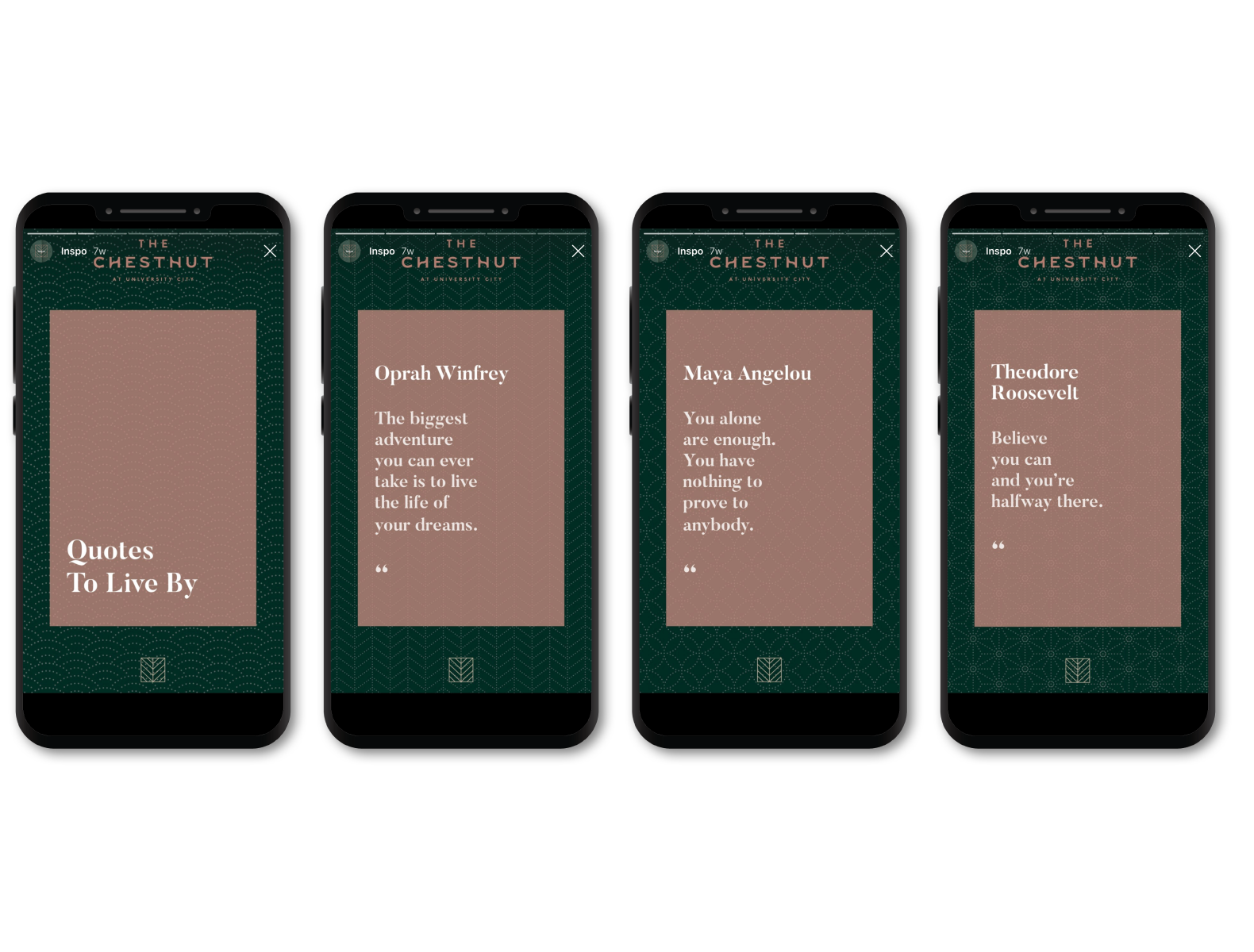 Chestnut Instagram Stories by Miah Lino on Dribbble