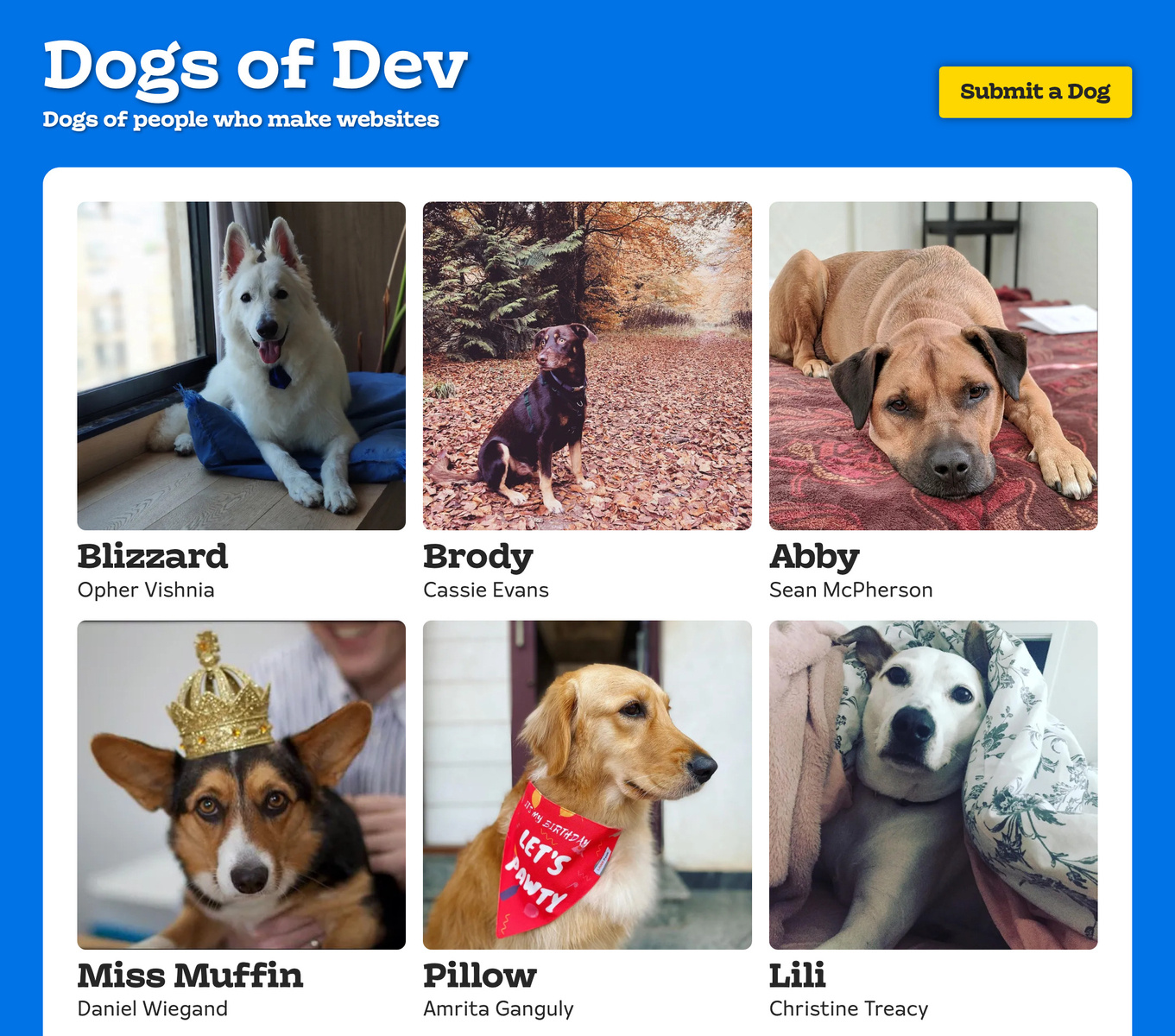 Dogs of Dev by Mike Aparicio on Dribbble
