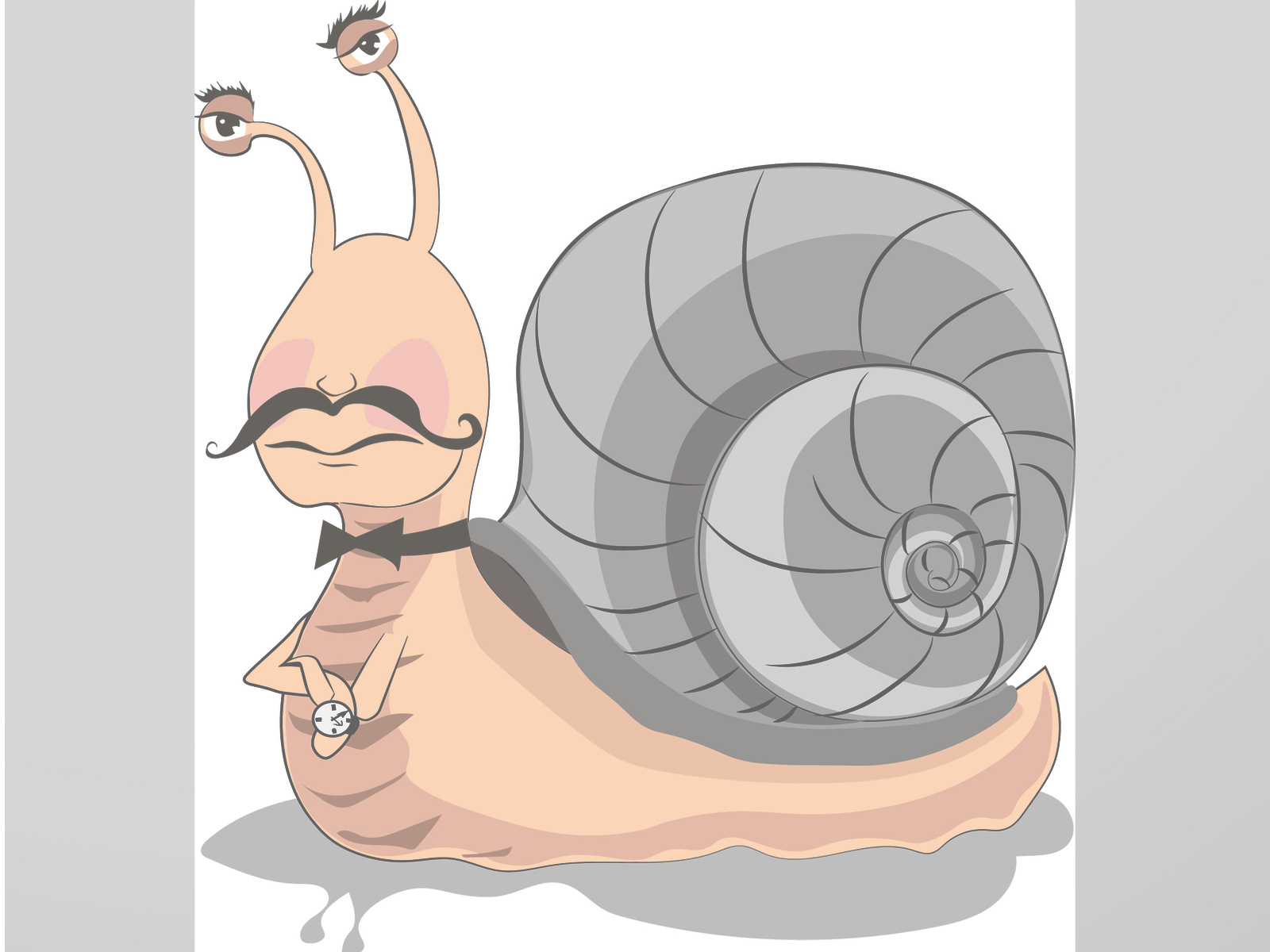 Snail with a clock, vector graphics, cartoon by olia vlasenko on Dribbble