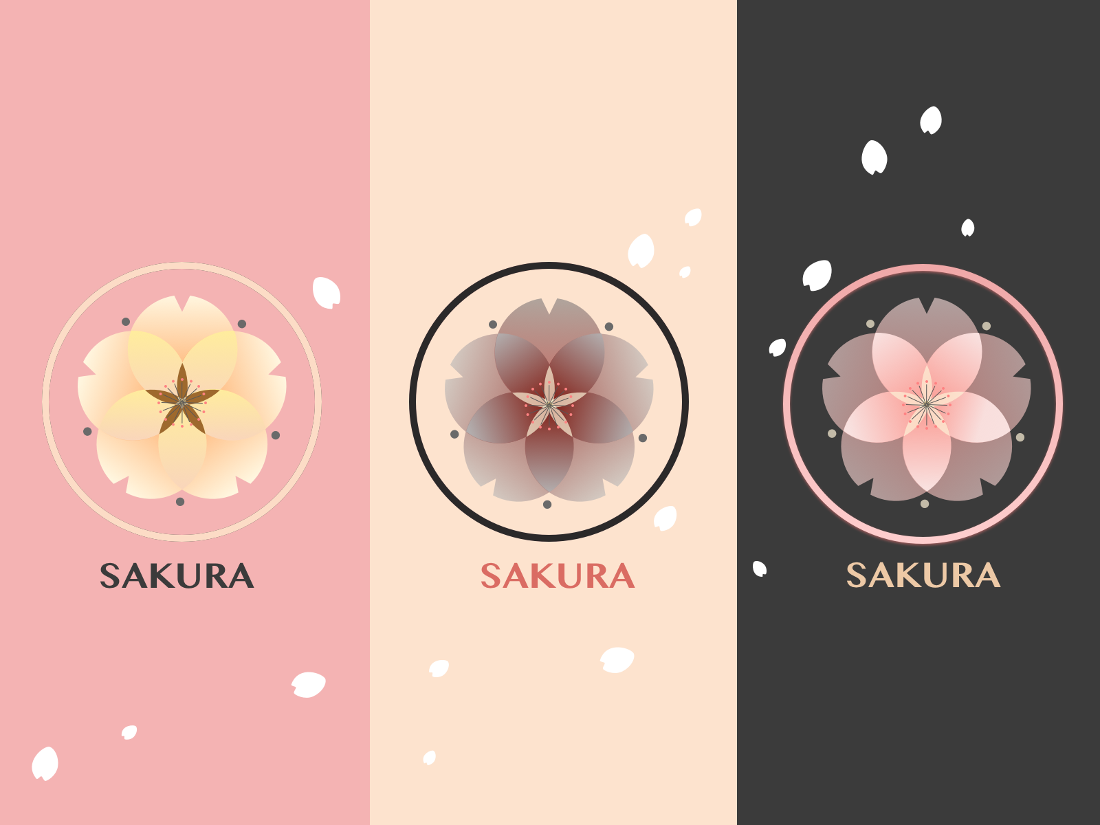SAKURA by Jie Yang on Dribbble