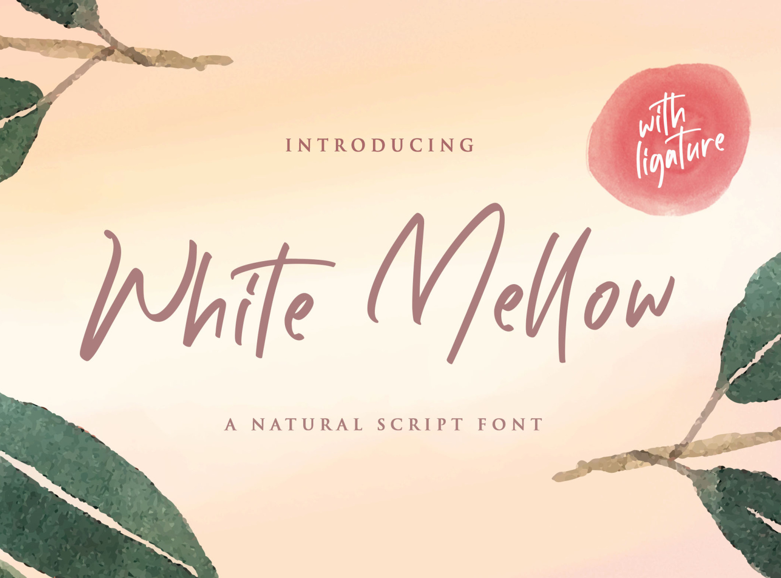 White Mellow - Handwritten Script Font by StringLabs on Dribbble