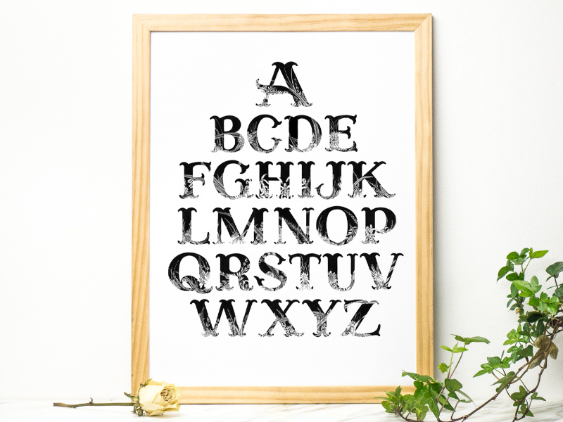 Alphabet by Swindler & Swindler on Dribbble