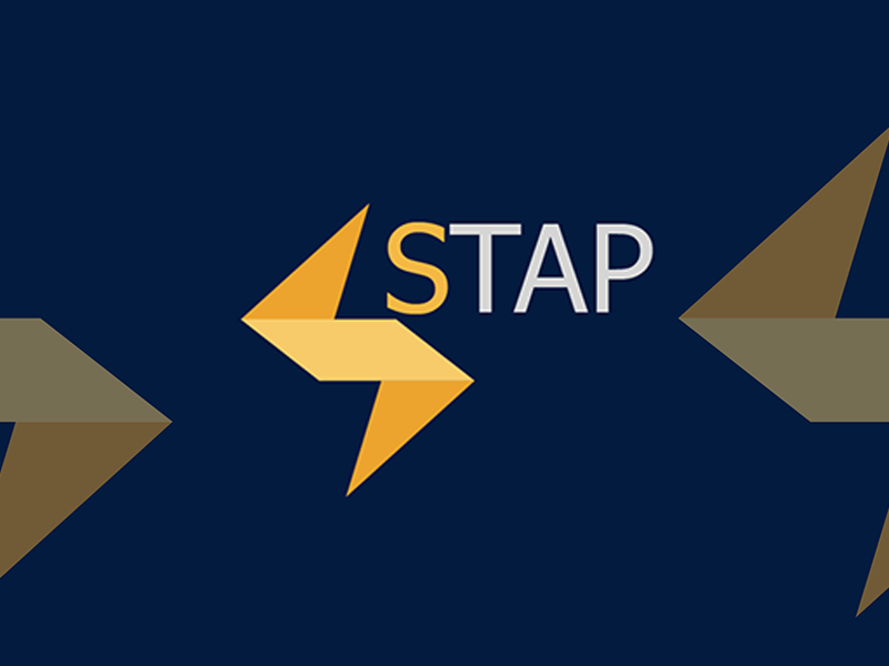 Stap by Ayouk kamsaoui on Dribbble