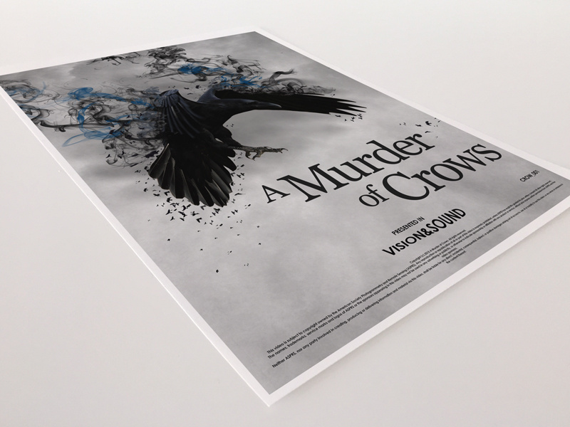 A Murder of Crows by Oliver Craddock on Dribbble