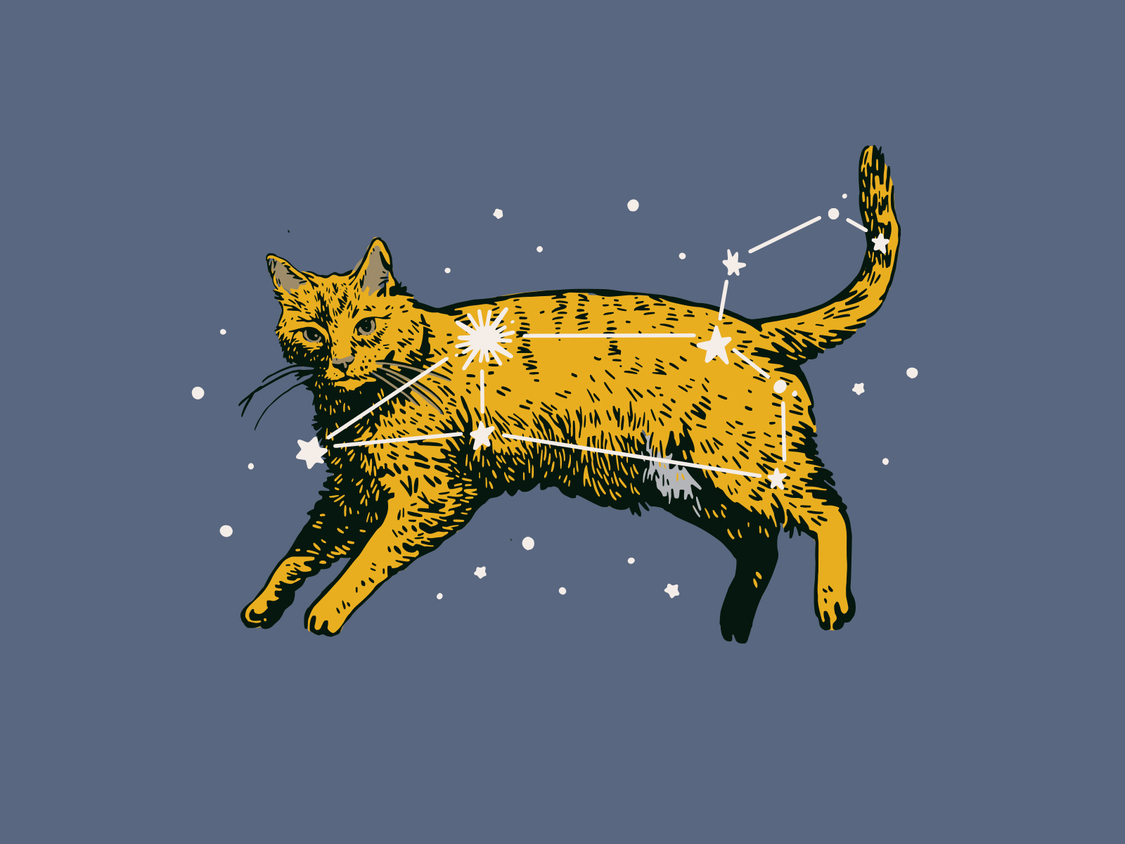 Prints Home & Living Home Décor Cat Constellation etna.com.pe