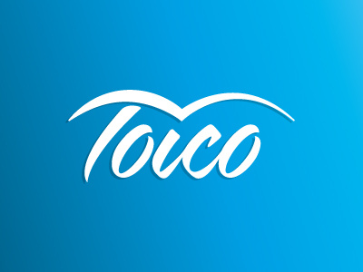 Toico by Michal Salva on Dribbble